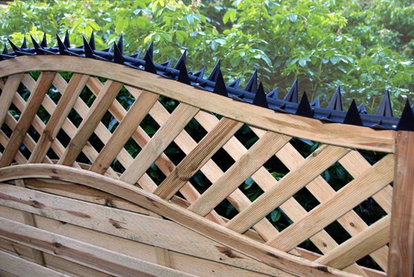 Rotating Fence Spikes Stegastrip 5-Meter Rotating Wall/Fence Spike Pack ...
